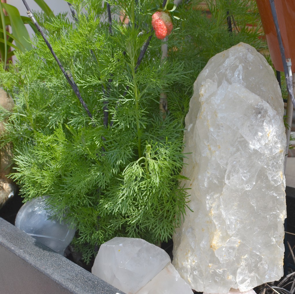 Edelsteine im Garten – Edelsteinartikel